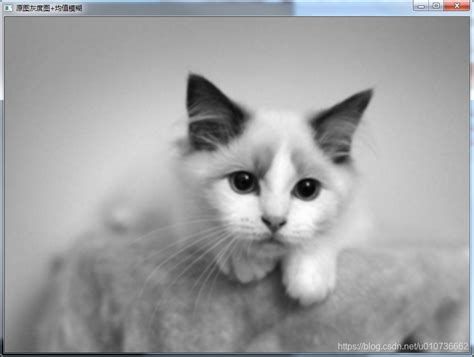Opencv如何在一个窗口中显示多张图像？opencv 两张图像放在一个namewindow中 Csdn博客