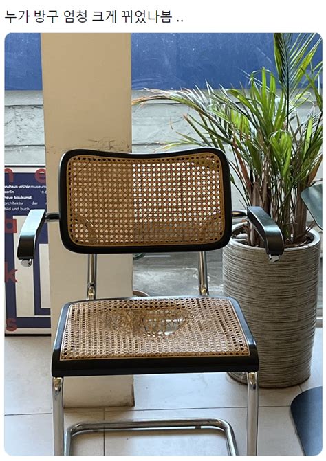 누가 방귀 엄청 크게 뀌었나봄