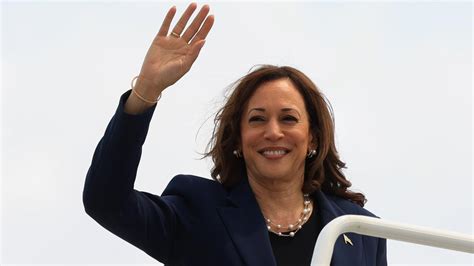 Kamala Is Brat And Coconut Tree Memes What Do They Mean