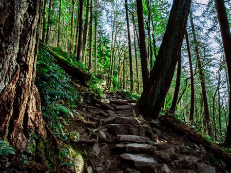 Hiking Trail Best Hiking In Japan Qoirg