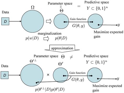 Schematic Diagram Of The Approximated Type Estimator Definition