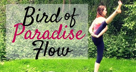 Bird Of Paradise Flow New Class Yoga With Kassandra Blog