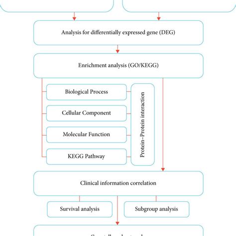 A Flow Chart Of Current Bioinformatics Study Download Scientific Diagram