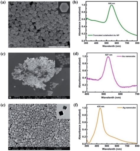 Sem Image Of A Truncated Octahedral Au Nps C Au Ncs And E Ag Ncs Download Scientific