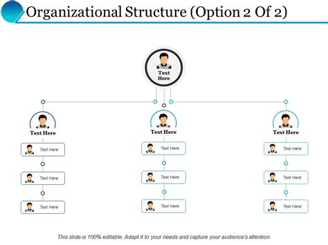 Organizational Structure Ppt Powerpoint Presentation Inspiration Graphics Design PowerPoint