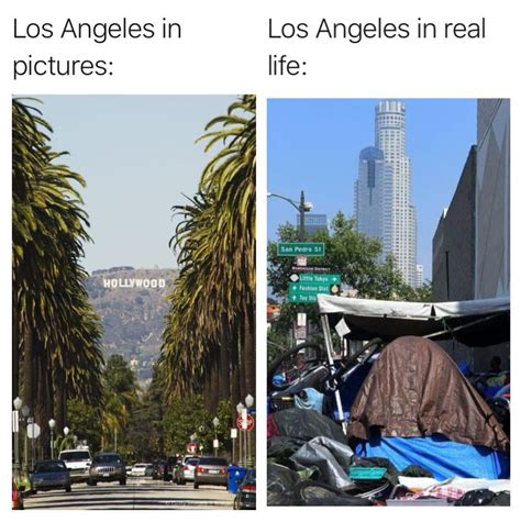 California Is Collapsing Rmemes
