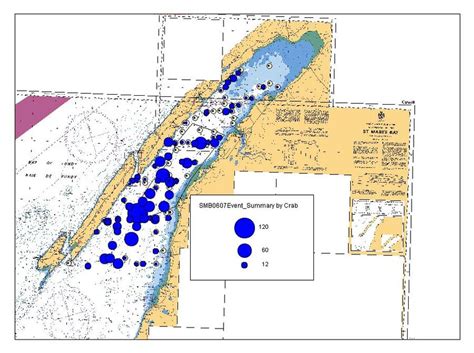 Number Of Crab Rock And Jonah Per Video Transect Transects Were Download Scientific Diagram