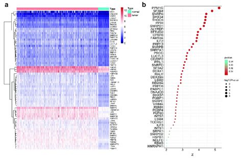 Clinical Value Assessments Of Splicing Factors Sfs A Heatmap Of