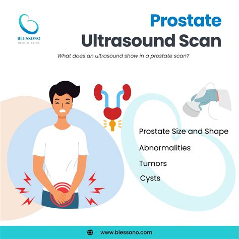 What Does An Ultrasound Of The Prostate Show Blessono Health Blog