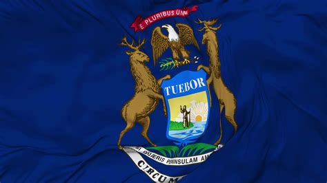 State Of Michigan Flag Seamless Looping Background Looped Bump Texture