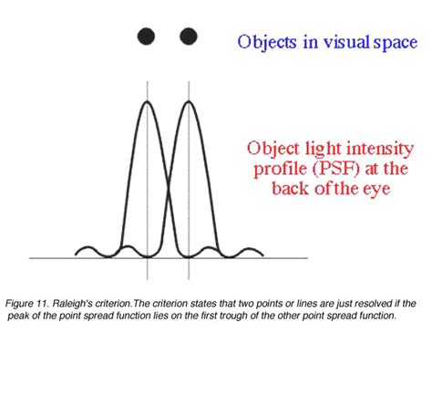 Visual Acuity By Michael Kalloniatis And Charles Luu Webvision