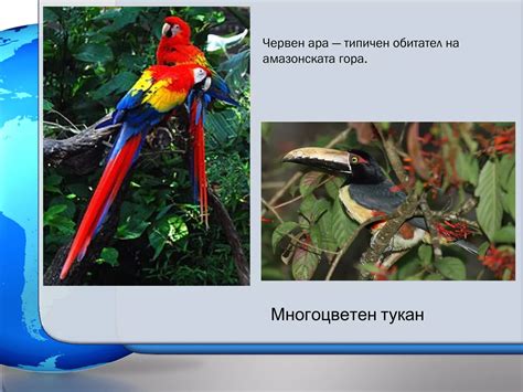 природни зони в южна америка подобрен вариант Ppt