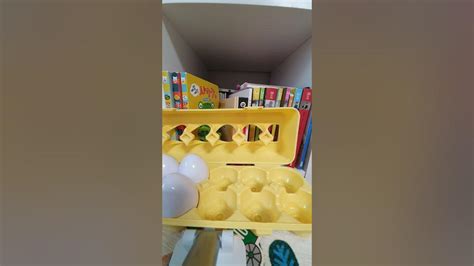 윙윙윙 고추잠자리 뽀로로 동요 Youtube