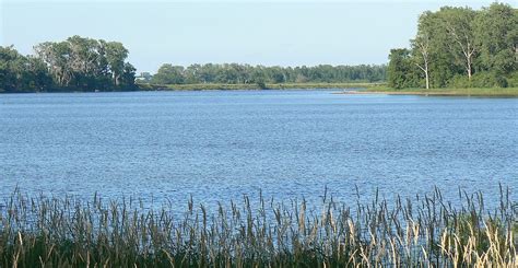 Birds Birding Trips And Birdwatching Tours In State Of Nebraska Fat