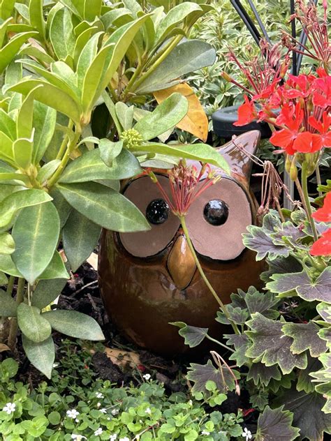 Gerard V Edom On Linkedin Looking Back I Sometimes Wish I Had