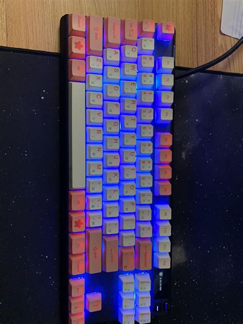 Apex Pro TKL W Akko World Tour Keycaps Liking This New Look R Steelseries