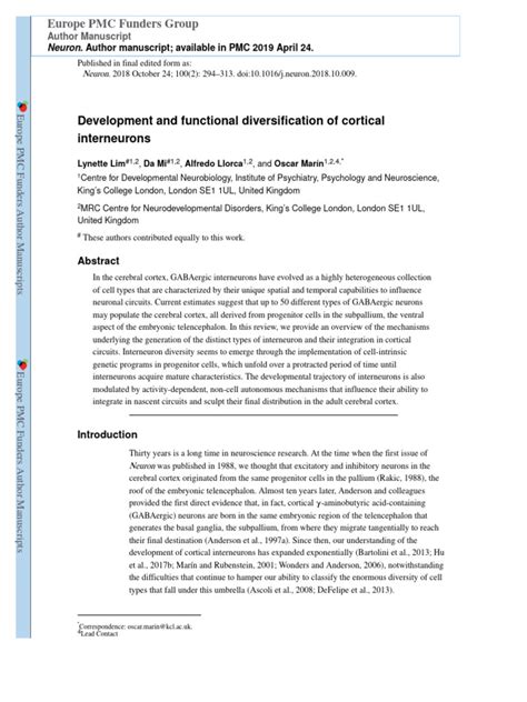 Lynette Development And Functional Diversification Of Cortical Interneurons Pdf Cerebral