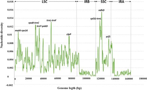 Comparative Analysis Of The Nucleotide Variability By Pi Values Of The Download Scientific