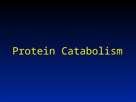 Ppt Protein Catabolism Overview Of Protein Catabolism Proteases Are