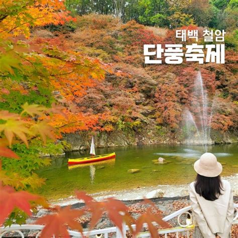 태백 철암단풍축제 방문 후기 네이버 블로그