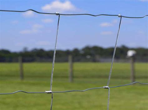 Preventing Deer Damage Why Knot Deer Fence Is Your Best Defense