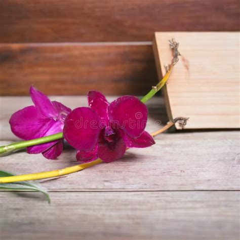 Capturing The Beauty Of Small Orchids On A Table Stock Image Image Of Violet Bouquet