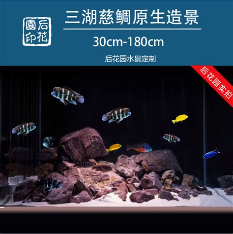 三湖造景岩栖石造景三湖慈鲷三湖躲避枝桠虾虎石雕罐三湖缸定制造 虎窝淘