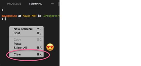 Shortcut To Clear Terminal Doesn T Work In Visual Studio Code On MacOS