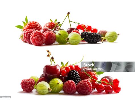 신선한 과일과 열매의 집합입니다 과일 그리고 장과 흰색 배경에 고립입니다 익은 건포도 라스베리 체리 딸기 구 즈 베리 나무 Mulberries 텍스트 복사 공간 혼합 과일의