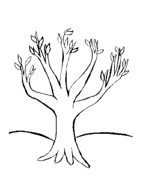 Bare Tree Coloring Page Coloring Home
