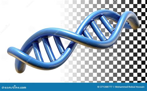 Dna Strand Helix Vector Illustration 43342420