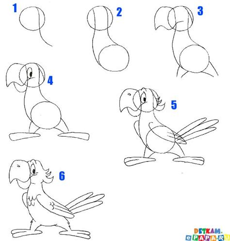 Як намалювати папугу Як малювати птахів Малювання