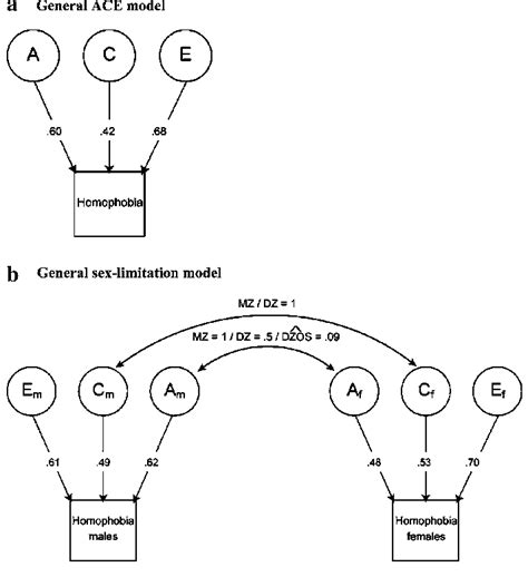 Graphical Presentation Of The General ACE Model A And The General Download Scientific Diagram