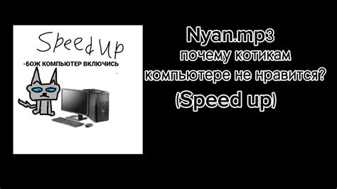 Nyan Mp3 Почему котикам компьютере не нравится Speed Up Youtube