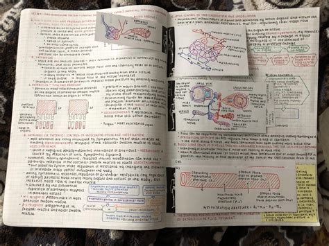 Found Some Of My Old Handwritten Class Notes Before I Started Typing