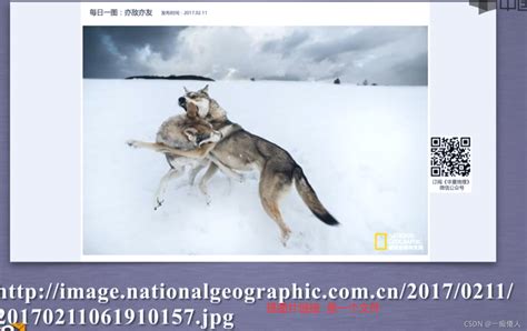 Python的request库详细讲解、七个方法、举例子爬取python Request库 Csdn博客