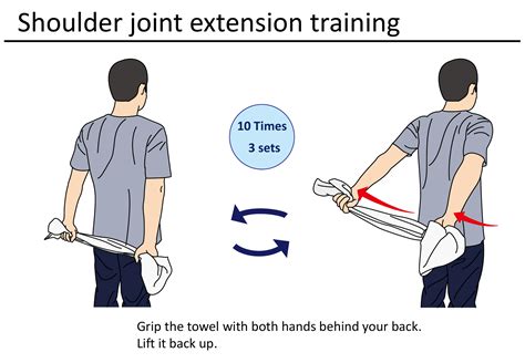 Trunk Rotation Exercise Physio Visuals Illustrated Exercise Stretching And Rehabilitation