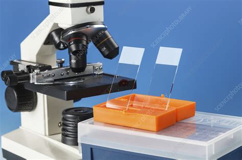 Light Microscope And Slides Stock Image F021 4783 Science Photo
