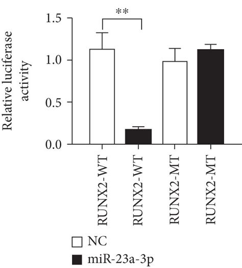 mir 23a 3p targeting binding runx2 a information diagram of the