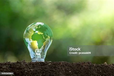 재생 가능 에너지환경 보호 재생 가능 지속 가능한 에너지 원 녹색 세계지도는 녹색 에너지를 나타내는 전구에 있습니다 세계에 중요한 재생 가능 에너지 재생 에너지에 대한 스톡