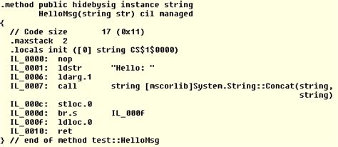 Net Assembly Programming Infosec