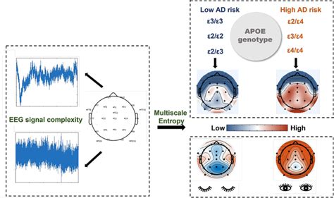 European Journal Of Neuroscience Vol 57 No 5