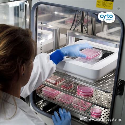 划痕和细胞迁移实验 知乎