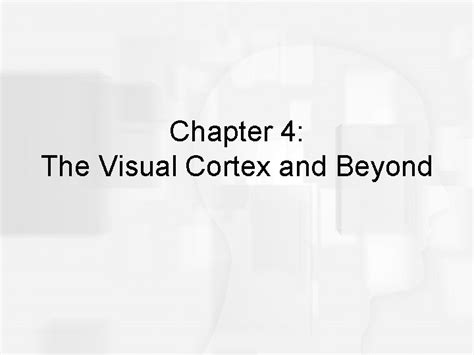 Chapter 4 The Visual Cortex And Beyond Overview