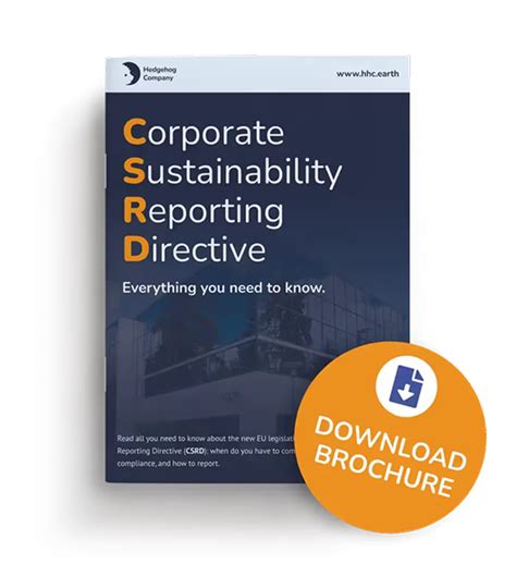 Csrd Everything You Need To Know