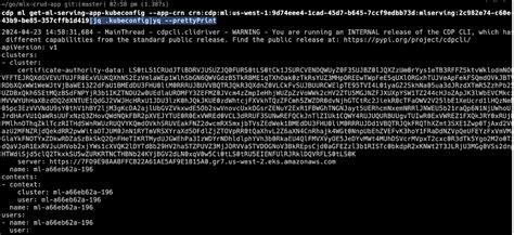 cloudera ai inference service cannot discover cloudera ai registry