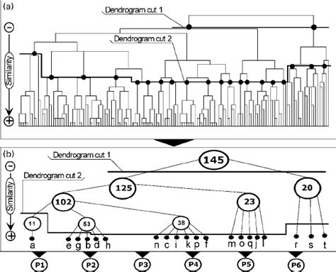 Grouping Attained From The Application Of Pattern Recognition A