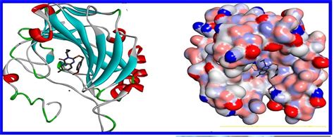 Three Day International Virtual Workshop On Comparative Protein