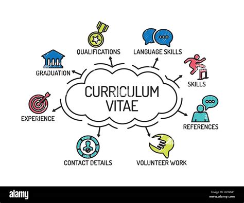 Curriculum Vitae Chart With Keywords And Icons Sketch Stock Vector Image And Art Alamy