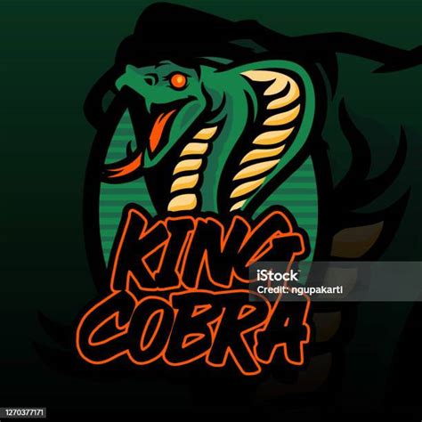 티셔츠 벽지 오라 엠블럼킹 코브라의 머리 일러스트레이션 어두운 녹색 배경에 고립 된 킹 코브라 그림 T 셔츠에 대한 스톡 벡터 아트 및 기타 이미지 Istock
